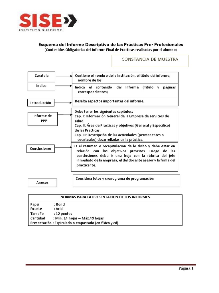 Esquema de Informe Descriptivo Del Practicante | PDF