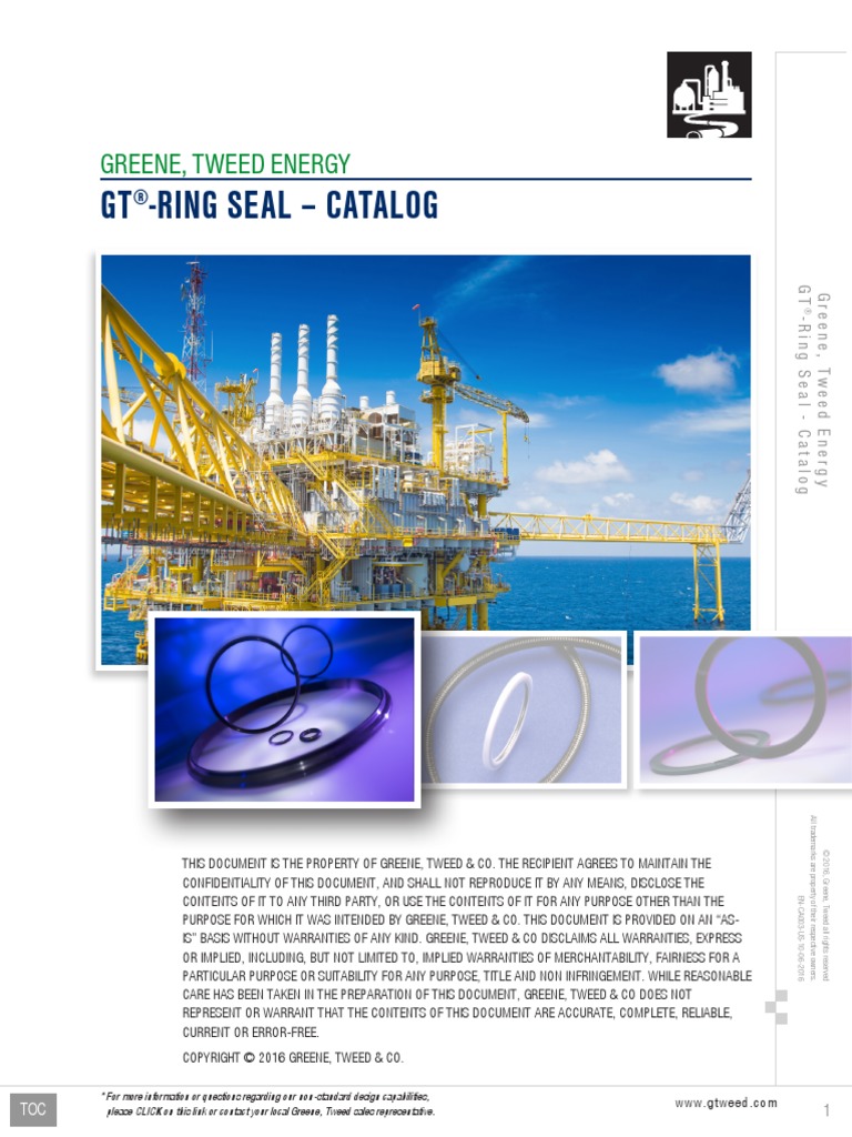 Energy Seal Catalog-GT Ring Seal-FINALB | PDF | Physical Sciences | Applied And ...