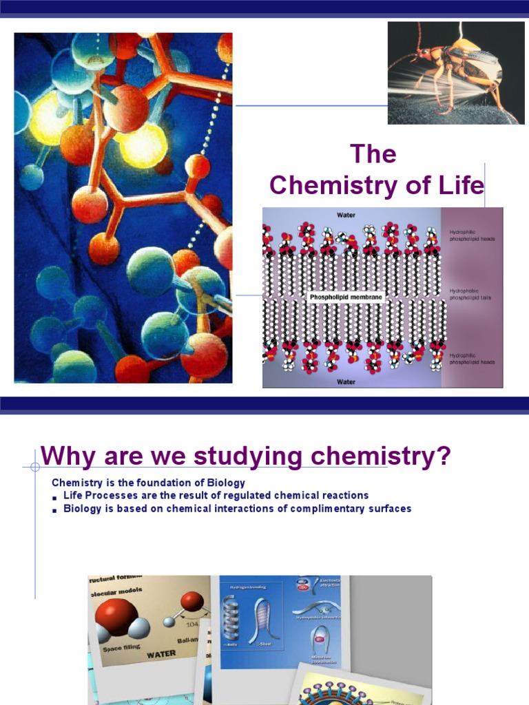 The Chemistry of Life: AP Biology | PDF