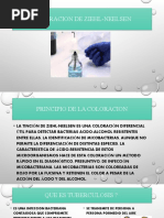 Codigos Sat | PDF | Medicina | Medicina CLINICA