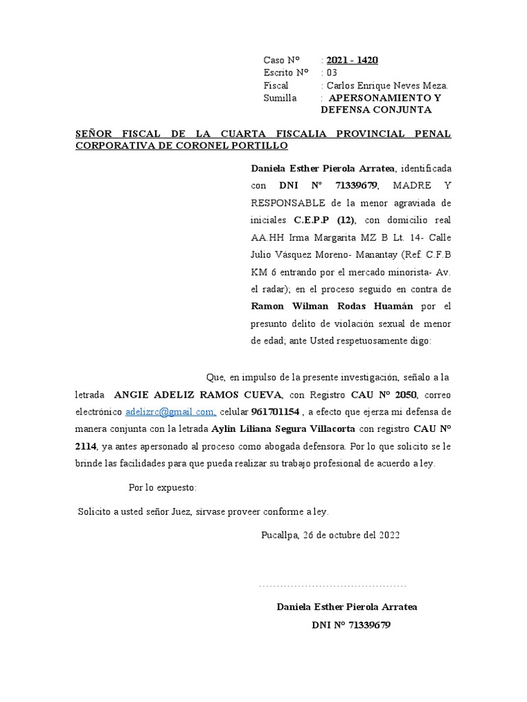 Defensa Conjunta | PDF