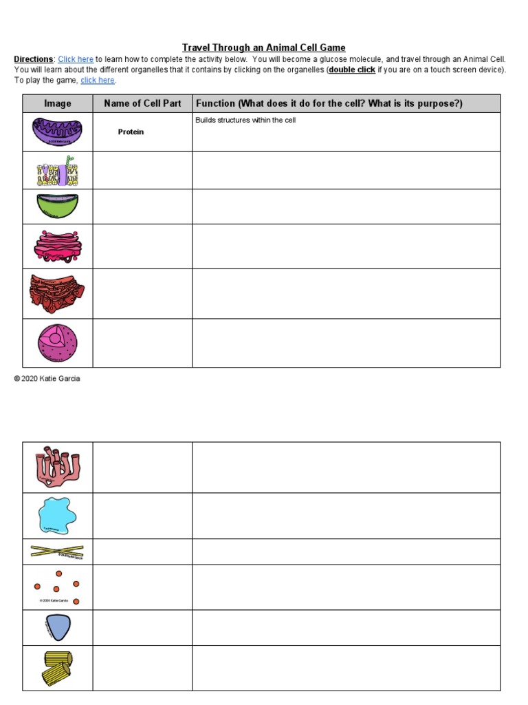 Travel - Through - An - Animal - Cell - Game 2 | PDF