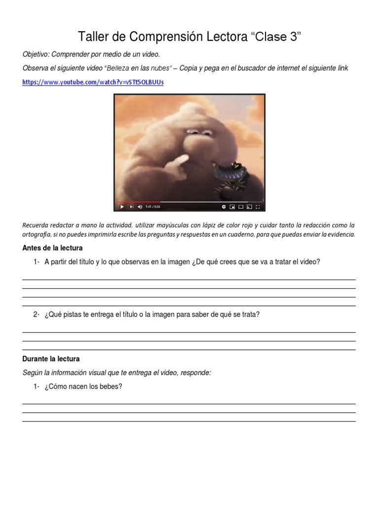 Actividad N°4 Taller de Comprensión Lectora 3°básico | PDF