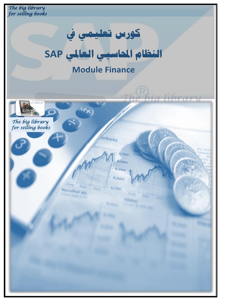 SAP Beginners 1 | PDF