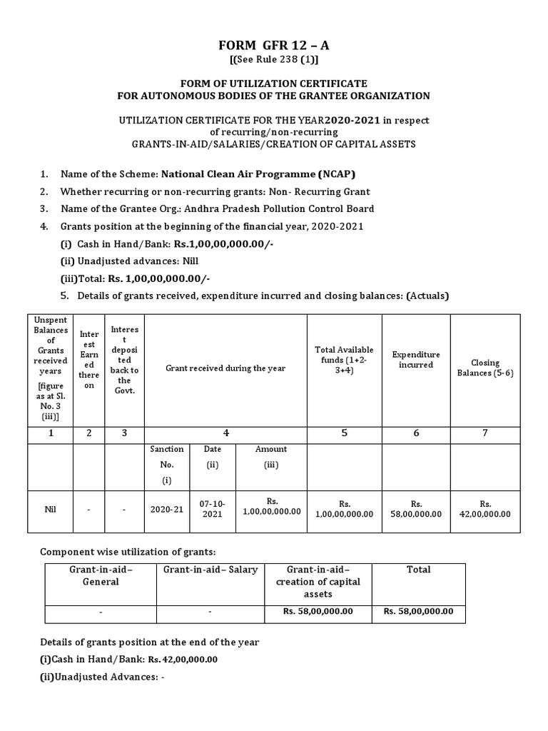 UC Format - NCAP | PDF | Audit | Internal Control