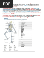 Musculoskeletal MSK X-Ray Interpretation OSCE Guide | PDF | Bone ...