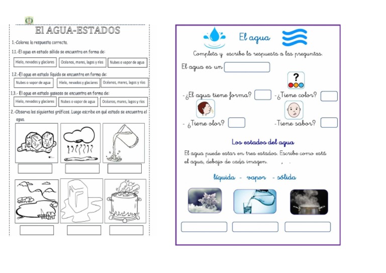 Ficha - El Agua | PDF