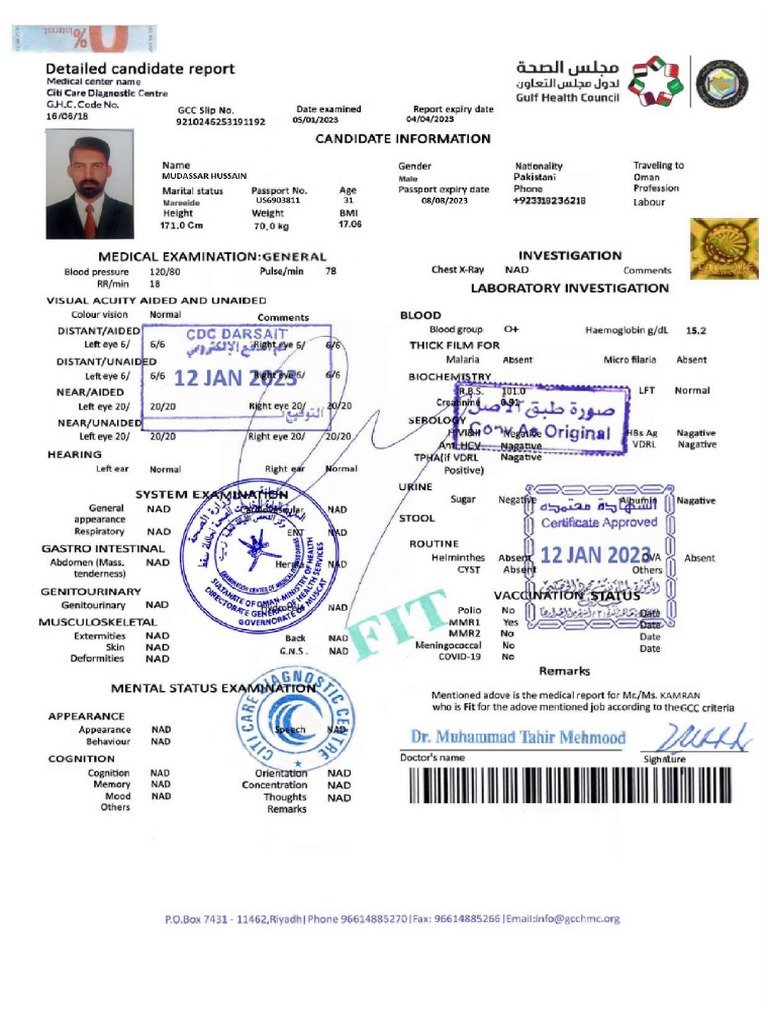 Mudassar Hussain | PDF