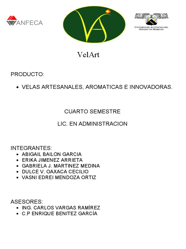 Plan de negocios-ANFECA | PDF | Estrés (biología) | Mercado (economía)