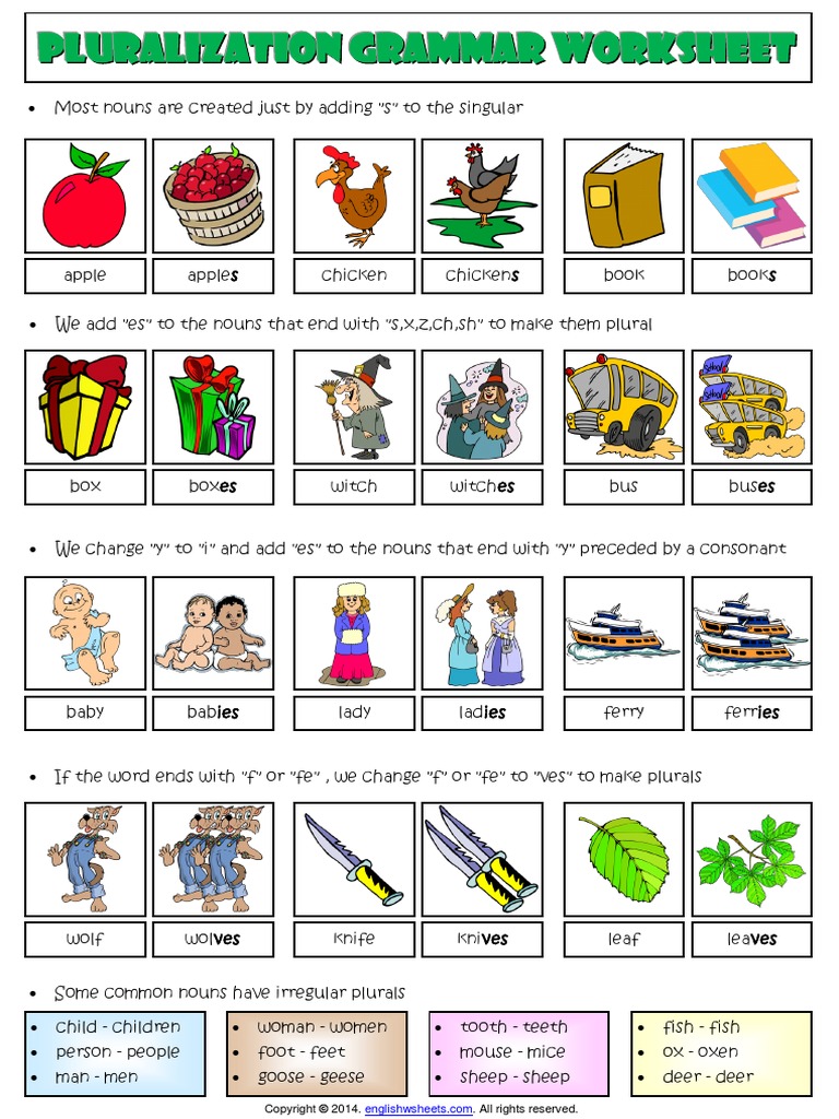 Pluralization Rules Esl Grammar Worksheet | PDF | Plural | Grammar