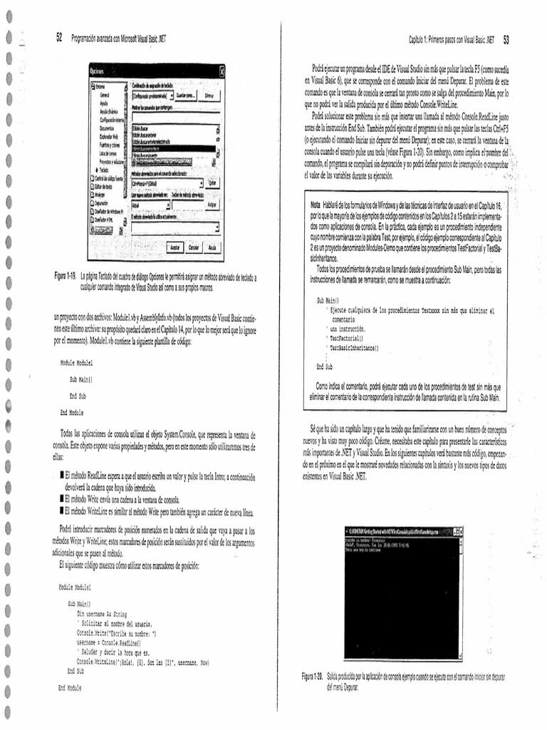 Cap 2 - Visual NET - Francesco Balena | PDF