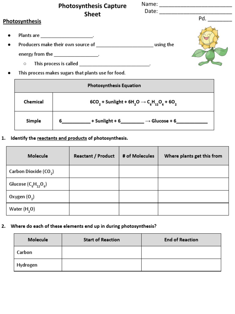 Ol Photosynthesis CR Capture Sheet 1 | PDF | Photosynthesis | Cellular ...