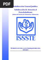 Formato St4 Imss Extjs | PDF | Derecho