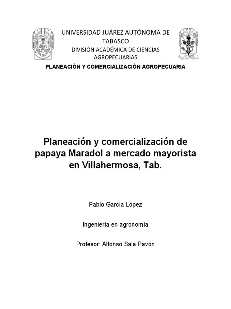 Tarea 1. Proyecto Papaya Maradol | PDF | Fertilizante | Agua