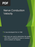 Butler Neural Mobilization | PDF | Nervous System | Nerve