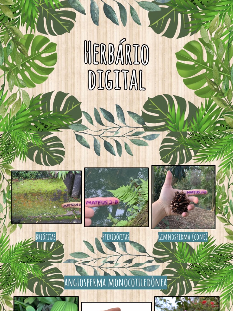 Herbário Digital | PDF