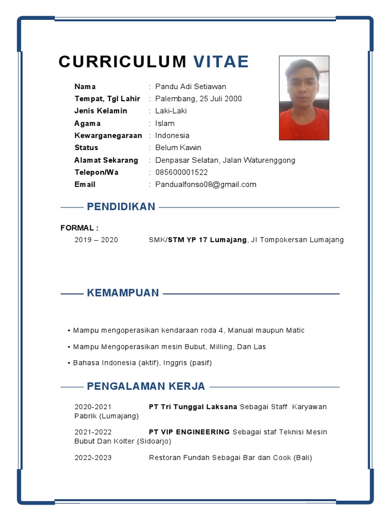 CV Pandu Adi Setiawan 2023 | PDF