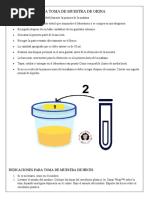 Rotulación e Identificación de Muestras | PDF | Histopatología ...