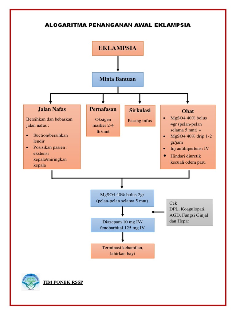 Alogaritma Penanganan Awal Eklampsia | PDF