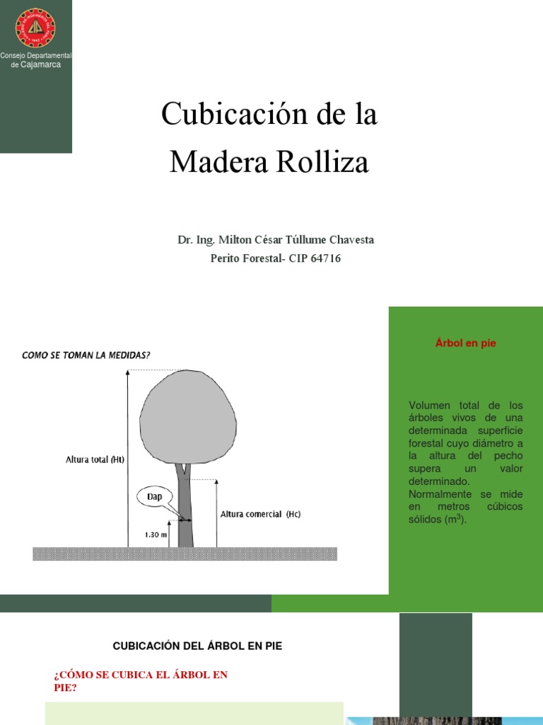 Cubicacion de La Madera | PDF | Pie (unidad) | Arboles