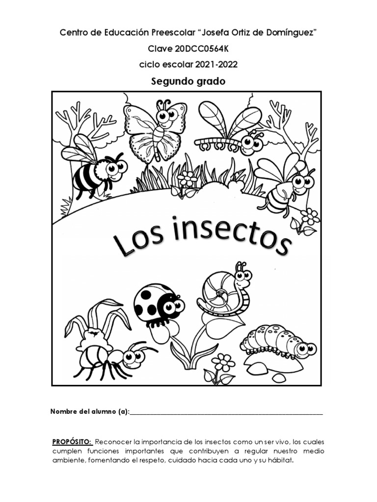 2° Los Insectos | PDF | Colmena | Insectos