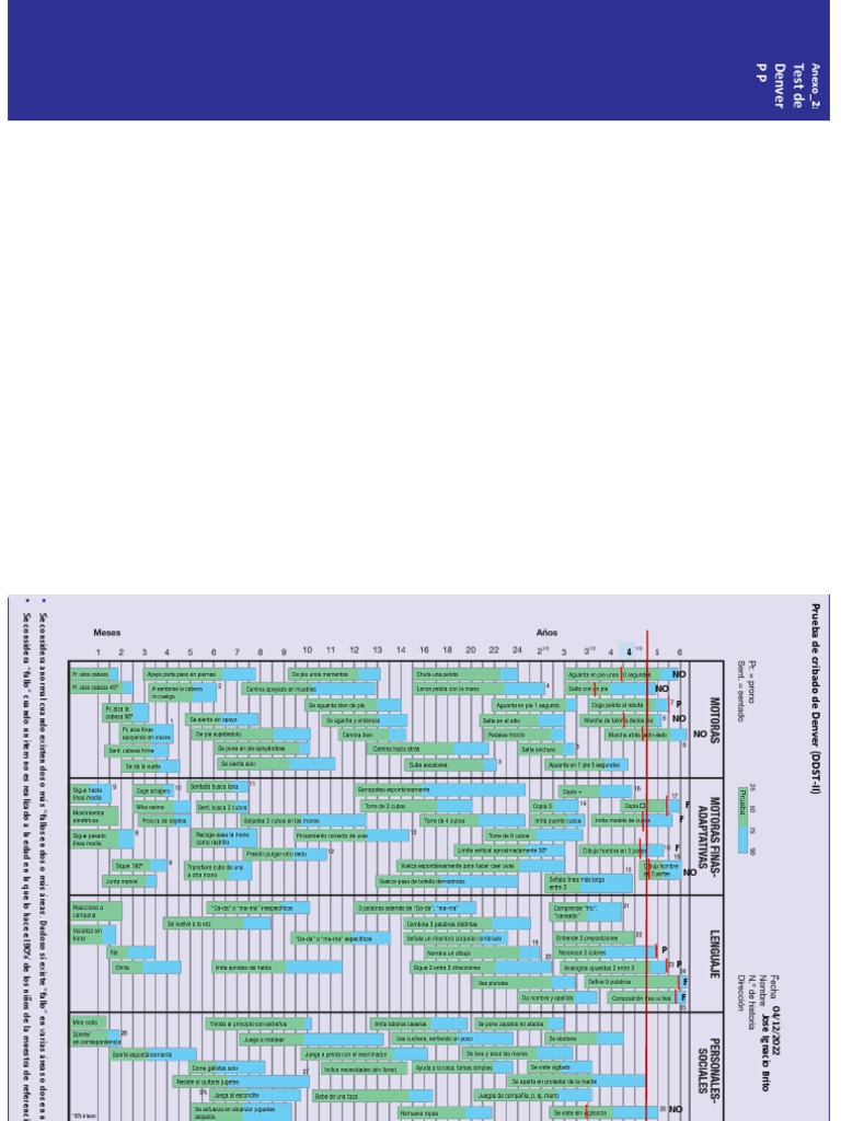Test de Denver Jose Ignacio Brito | PDF