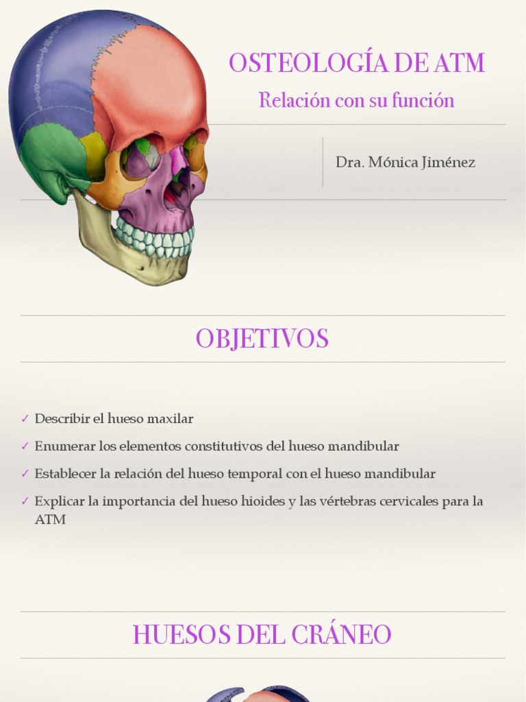 Osteología de la ATM y su Función | PDF | Cráneo | Vértebra