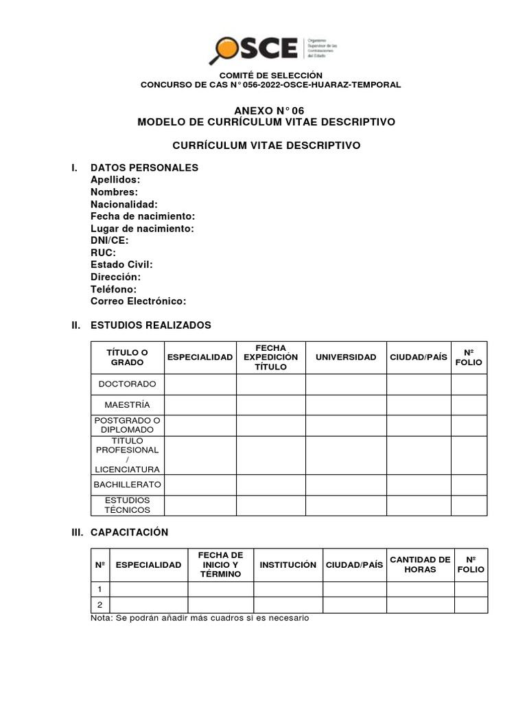Anexo #06 - Modelo de Currículum Vitae Descriptivo | PDF | Negocios