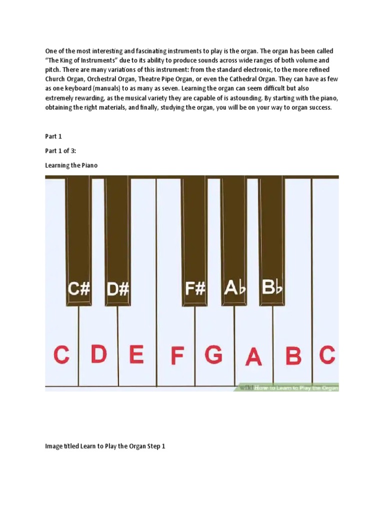 Learning Organ | PDF | Piano | Organ (Music)
