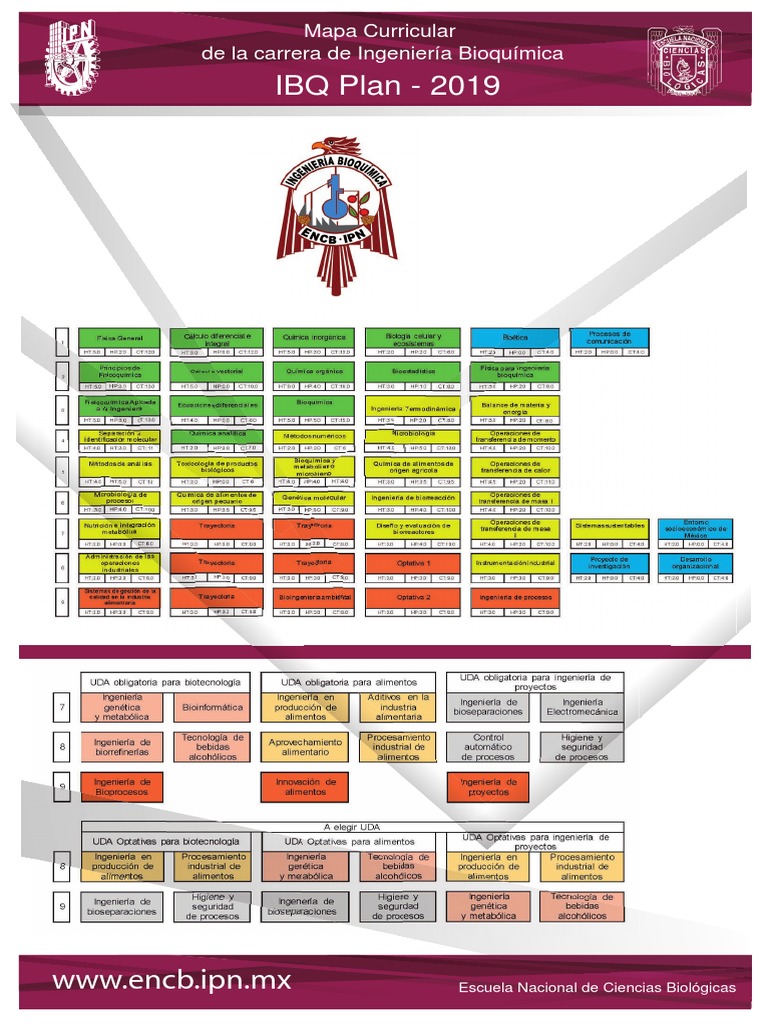 Mapa curricular de la carrera de Ingeniería Bioquímica del Plan 2019 de ...