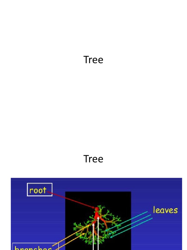 Trees | Download Free PDF | Vertex (Graph Theory) | Graph Theory