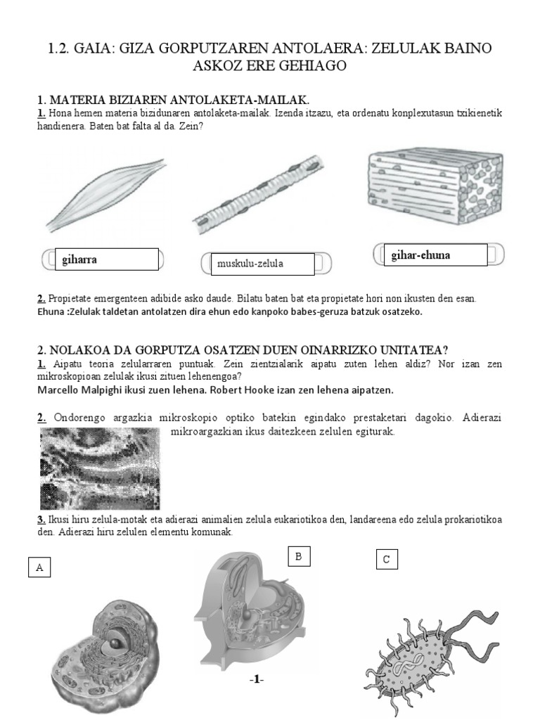 BIO-GEO-3.DBH-IN - NE.-Bio-Geo-1.2. Gaia-Giza Gorputzaren Antolaera ...