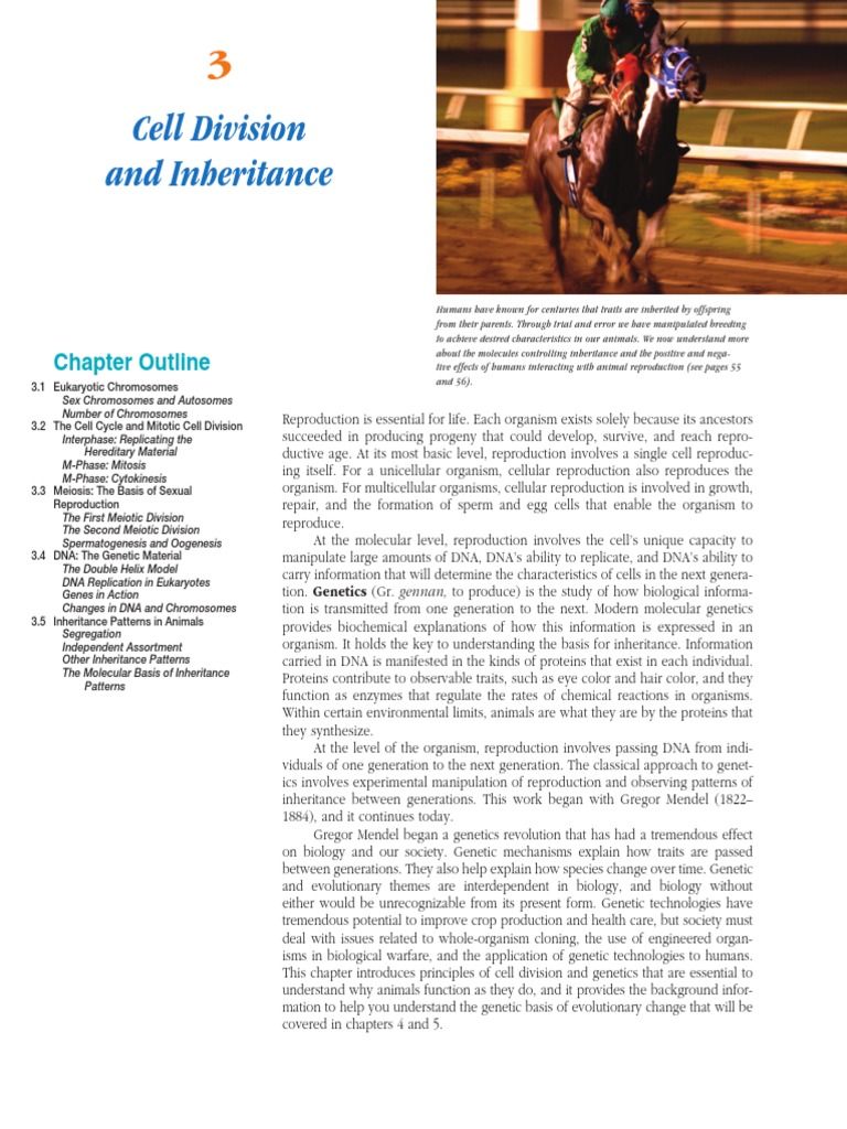Cell Division And Inheritance Pattern Pdf Meiosis Mitosis