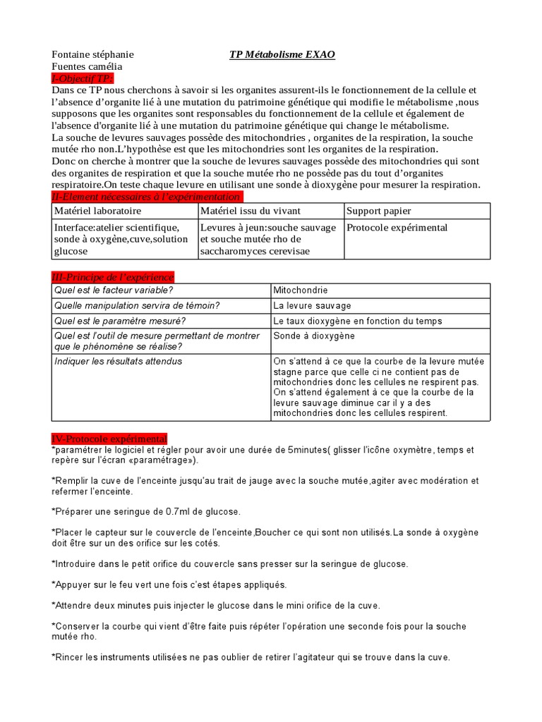 Compte Rendu Final TP3 | PDF | Levure | Cellule (Biologie)