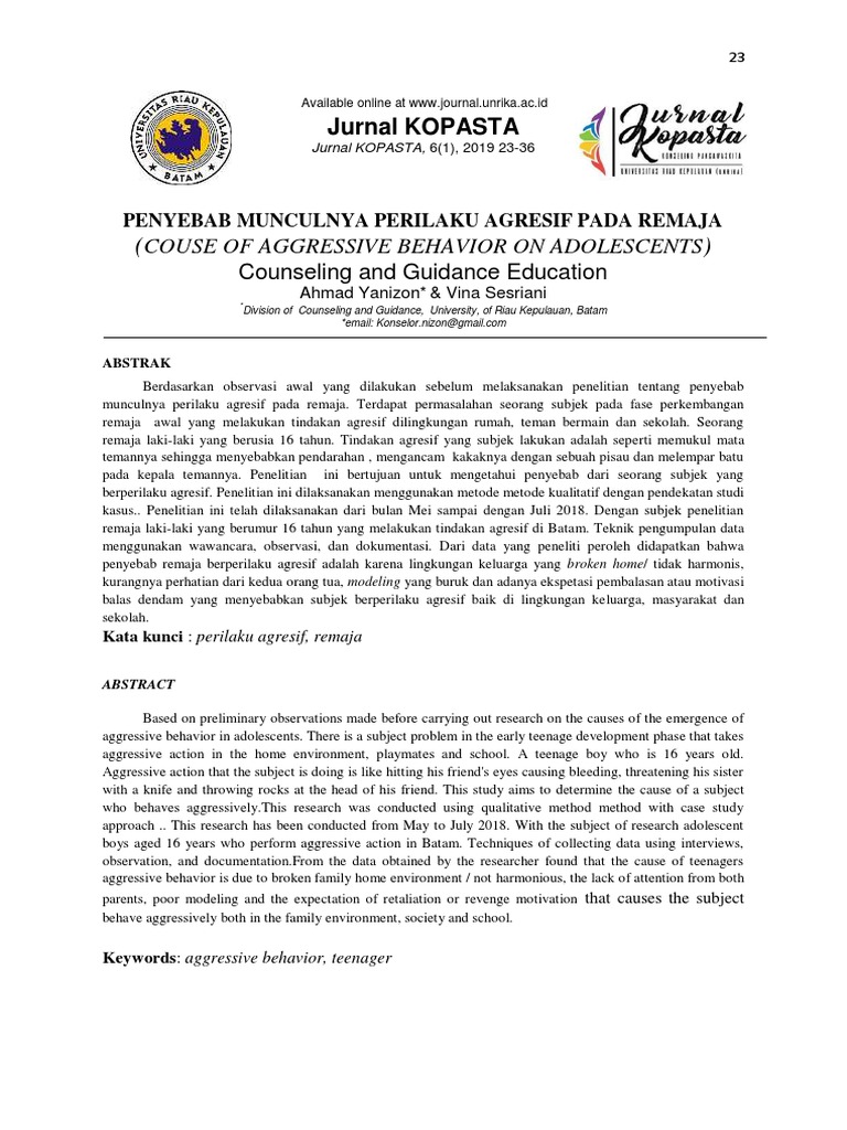 Penyebab Perilaku Agresif Remaja | PDF