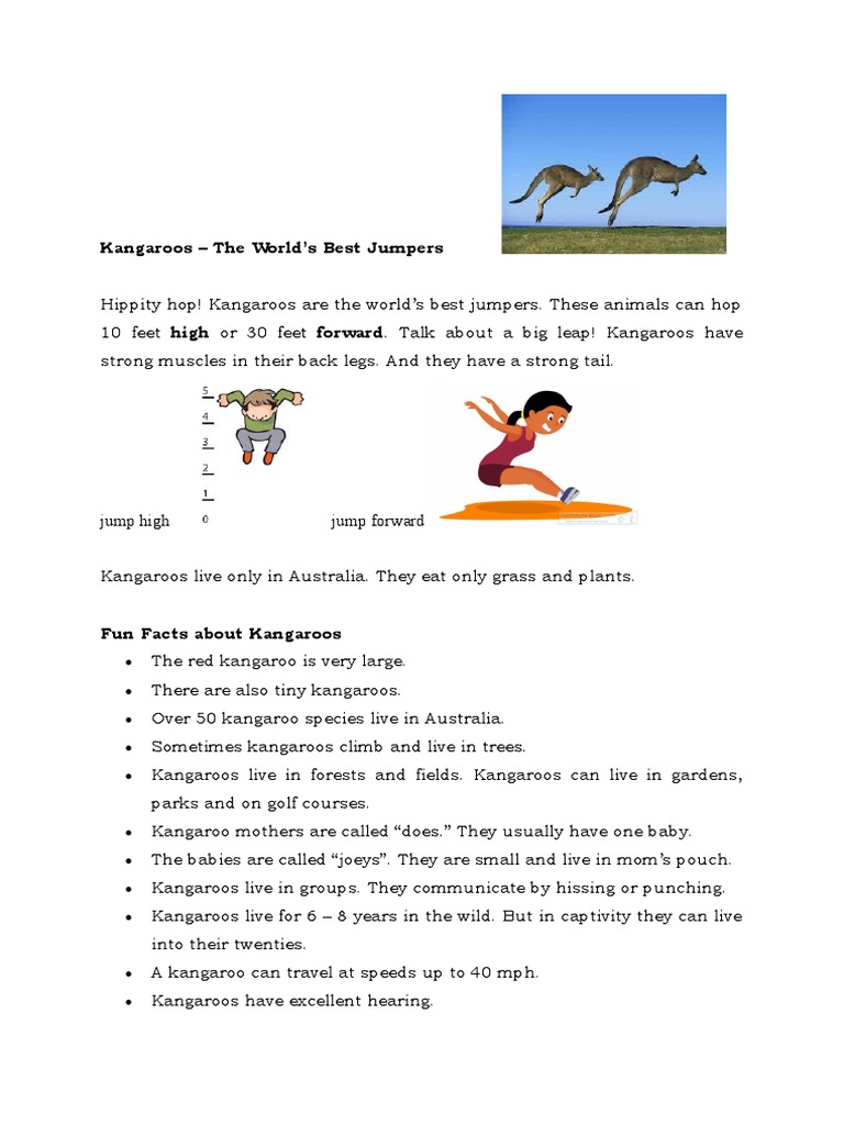 02 Kangaroos | PDF