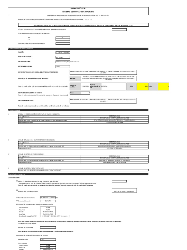 Formato 07a Reg. Pry. Inv | PDF | Asociación público-privada | Infraestructura