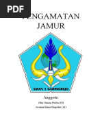 Ciri dan Klasifikasi Jamur Oncom | PDF