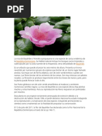 Flora Nativa de República Dominicana | PDF | República Dominicana | Arboles