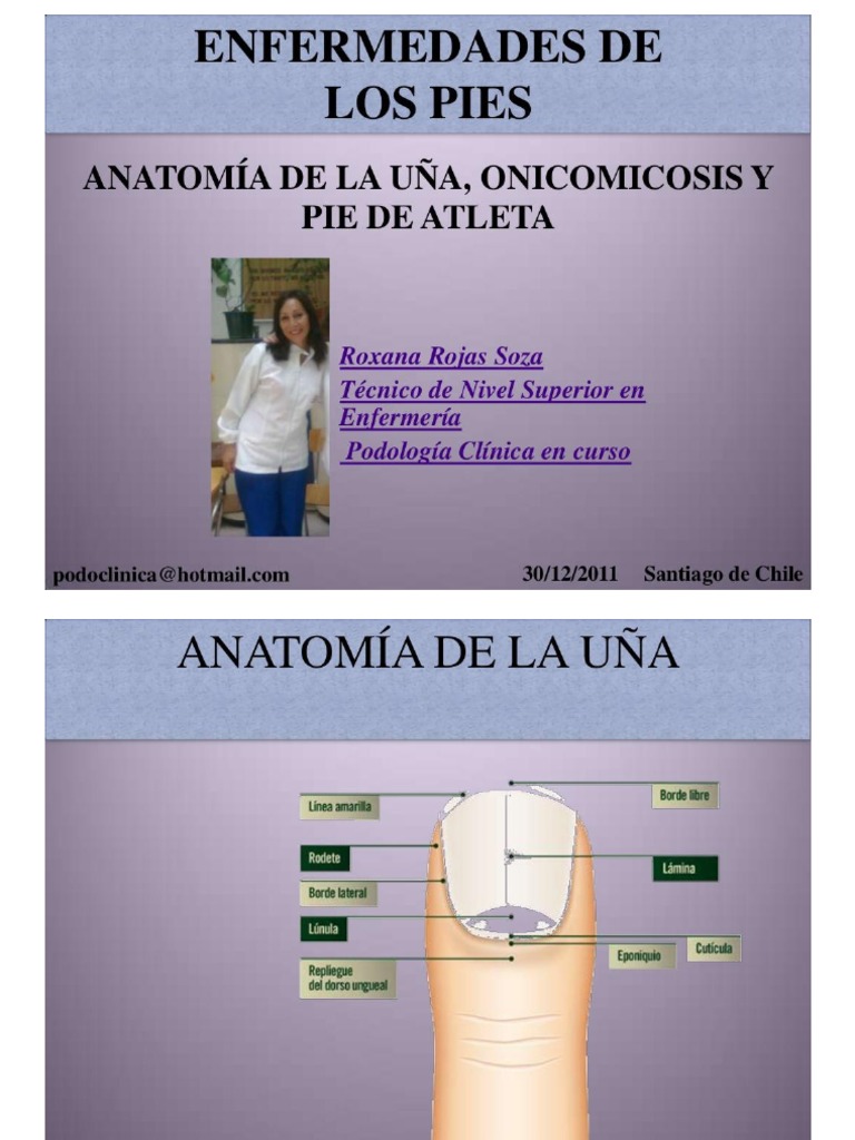 Anatomia de La Uña | PDF