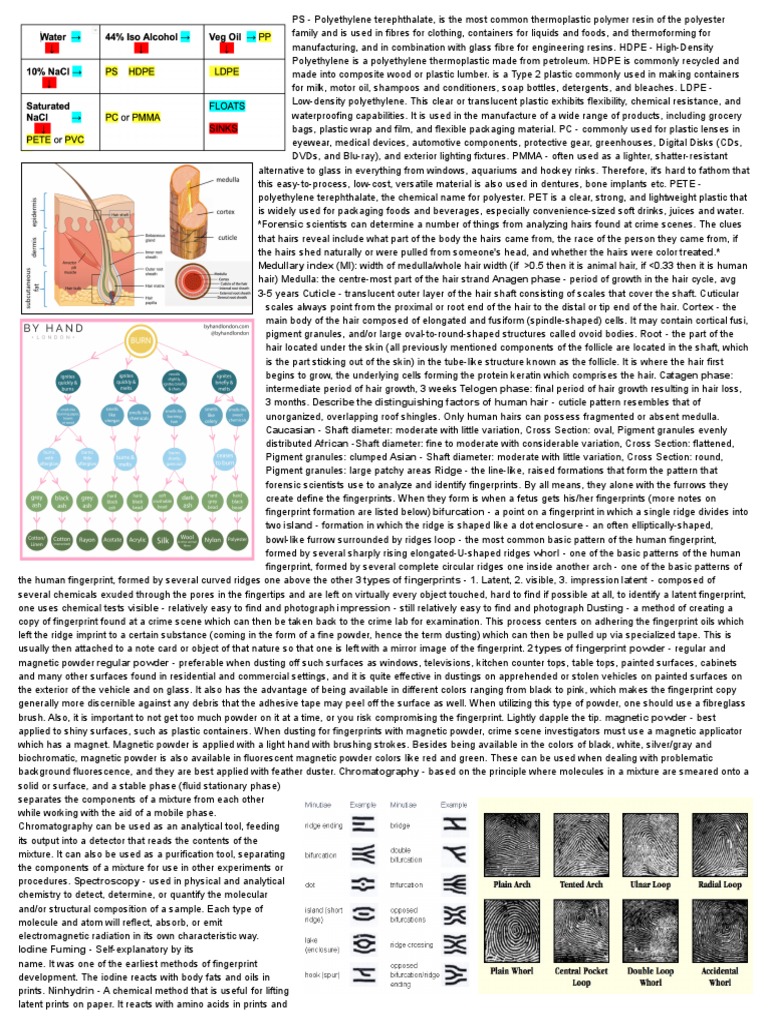 Science Olympiad: Forensics Note Sheet | PDF | Fingerprint | Gel ...