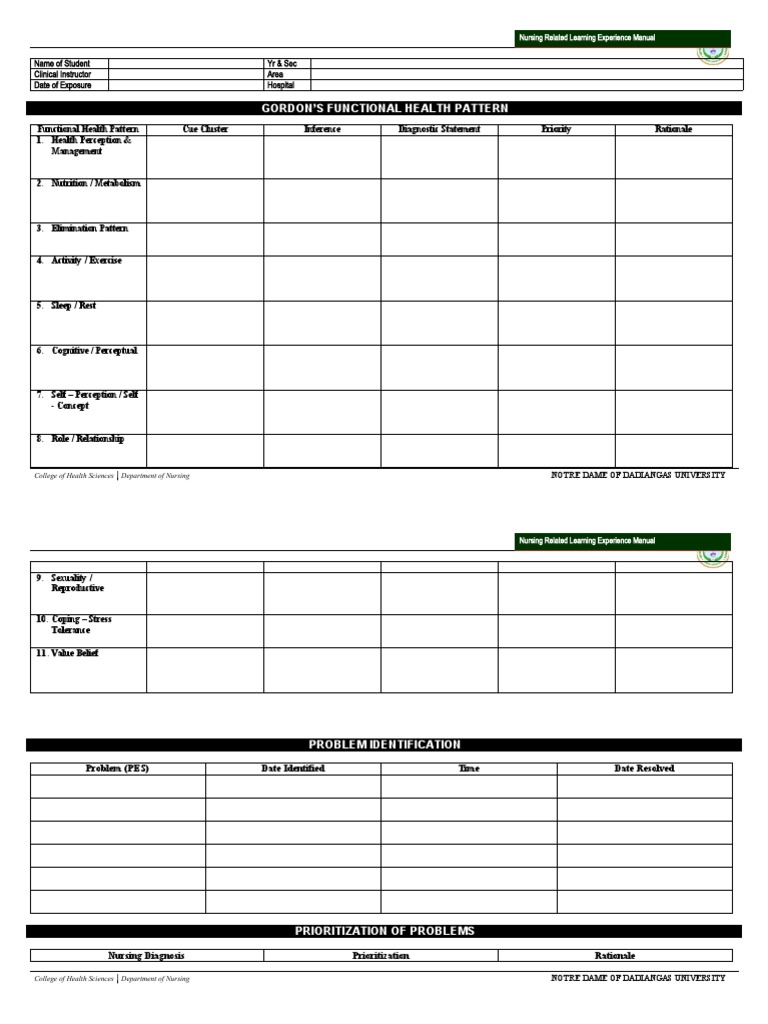 2 Gordons NCP Diagnostic Examination Lesson Plan Format | PDF | Nursing ...
