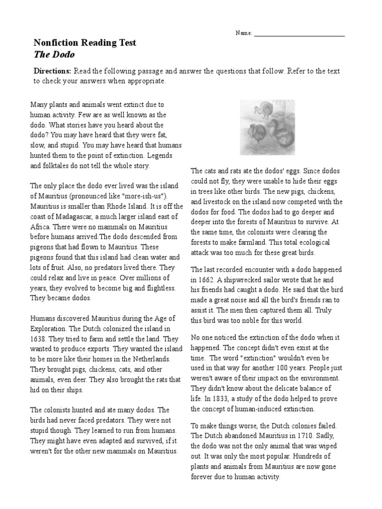 Dodo Reading Worksheet | PDF | Extinction | Birds