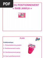 Analyse de Raibi Jamila au Maroc | PDF | Yaourt | Maroc