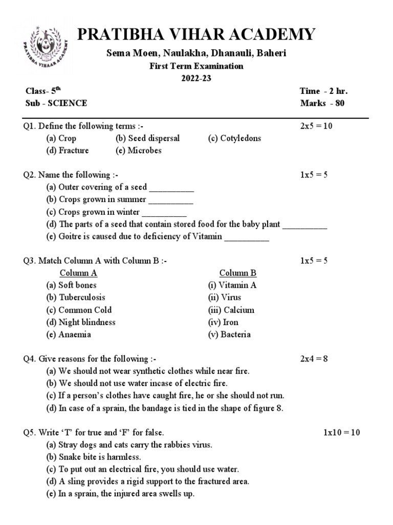 Class 5 | PDF | Vitamin | Essential Nutrients