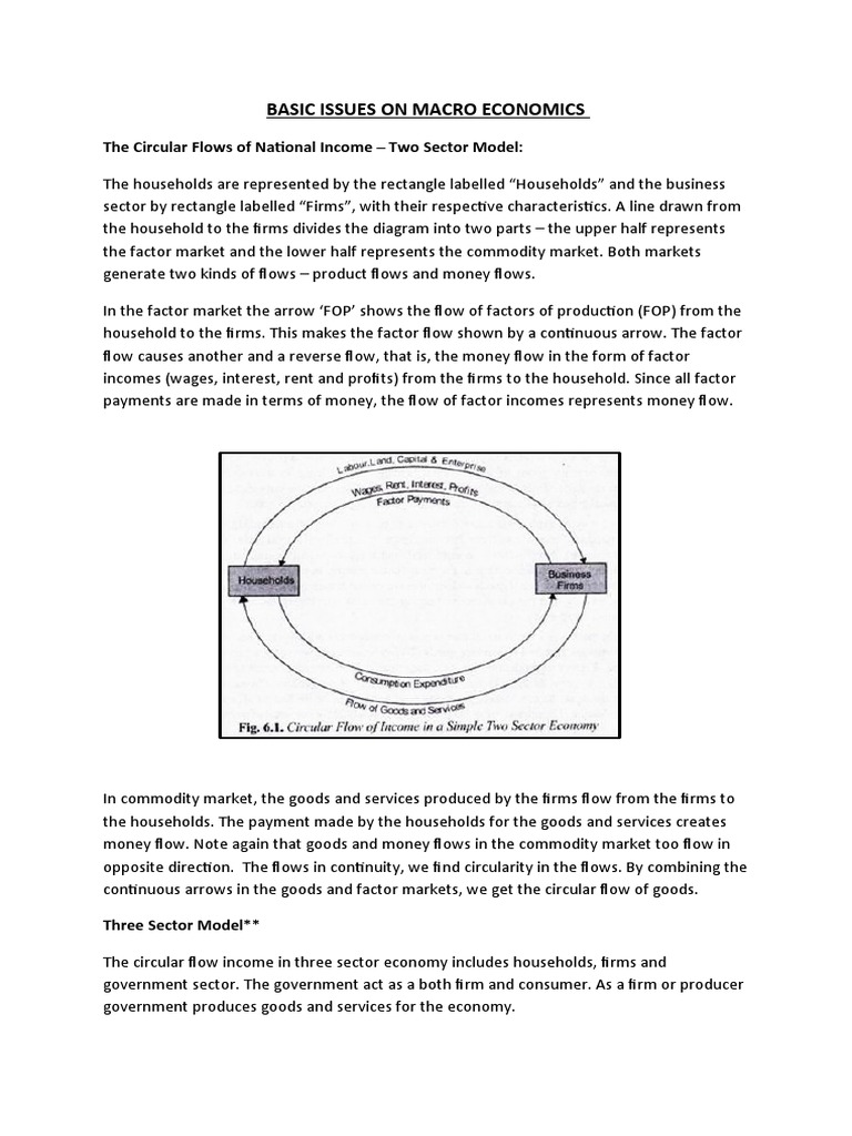 Basic Issues On Macro Economics | PDF | Measures Of National Income And ...