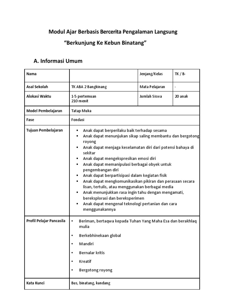 Modul Ajar Dan RPPH | PDF