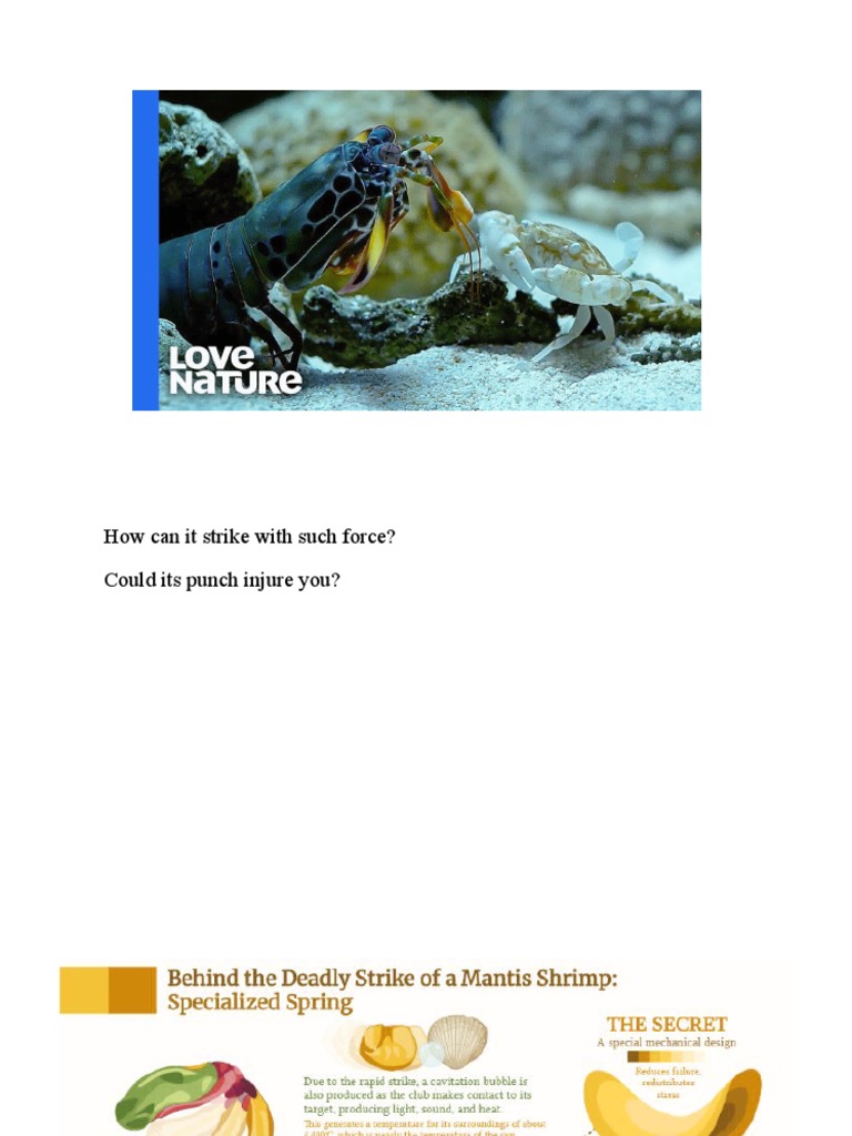 Unit 5 Forces & Matter | PDF | Pressure | Force