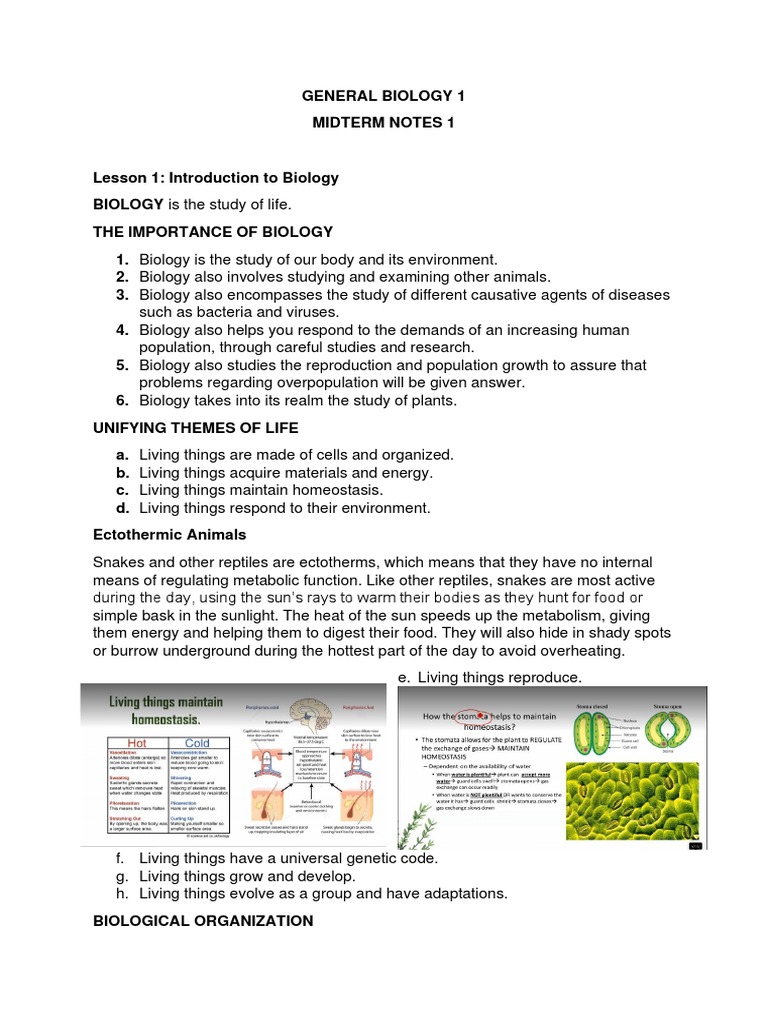 GenBio1 Midterm Notes 1 | PDF | Cell (Biology) | Epithelium