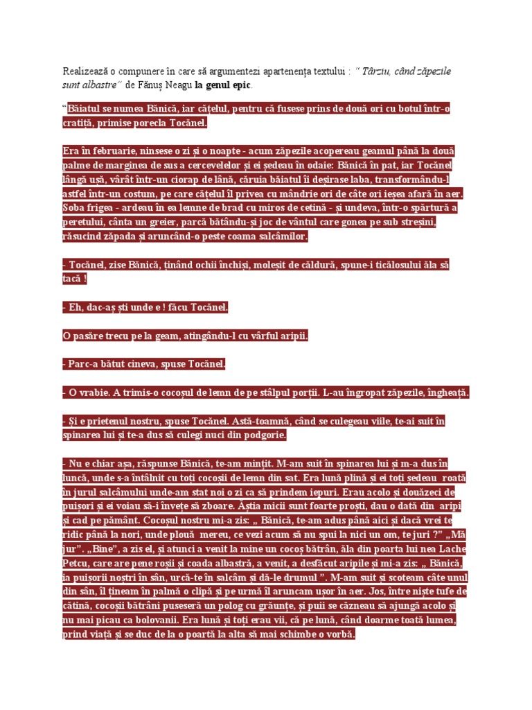 Text Epic - Tema | PDF